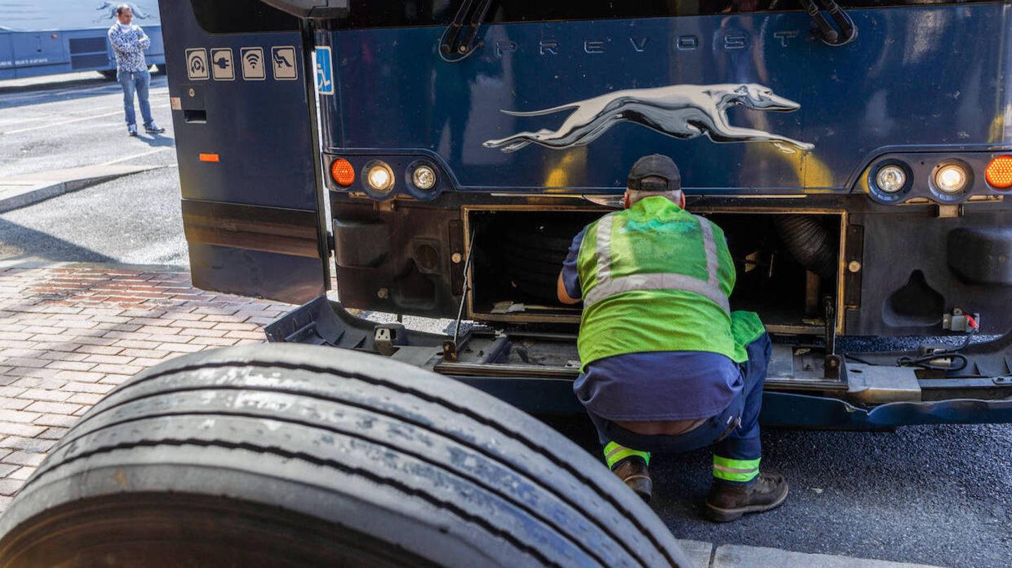 Was Flixbus mit dem Kauf von Greyhound auf dem US-Markt vorhat - Capital.de