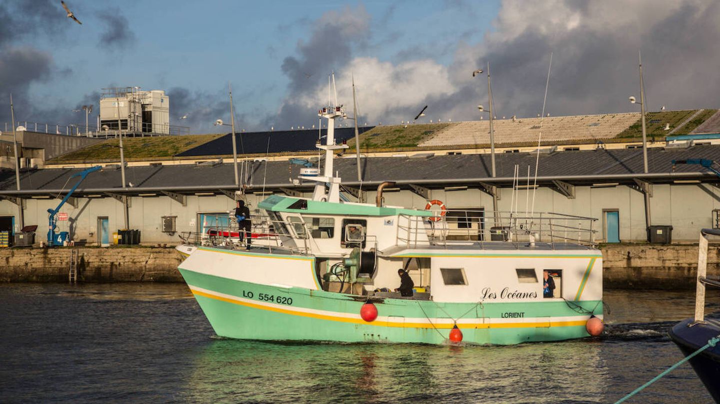 Wie sich Frankreich und Großbritannien im Fischereistreit verhaken ...