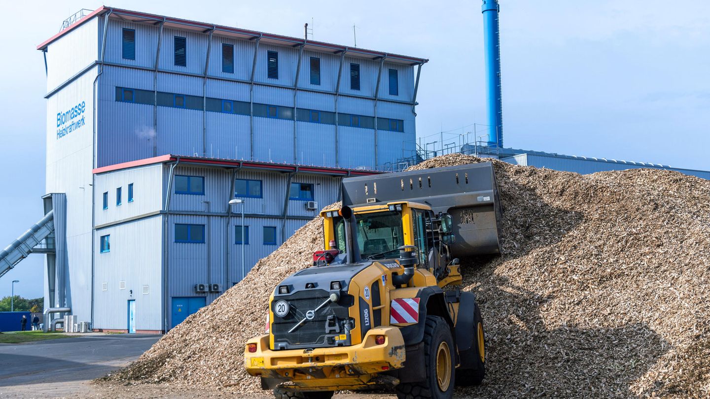 Welche Rolle Biomasse bei der Wärmewende spielen kann - Capital.de