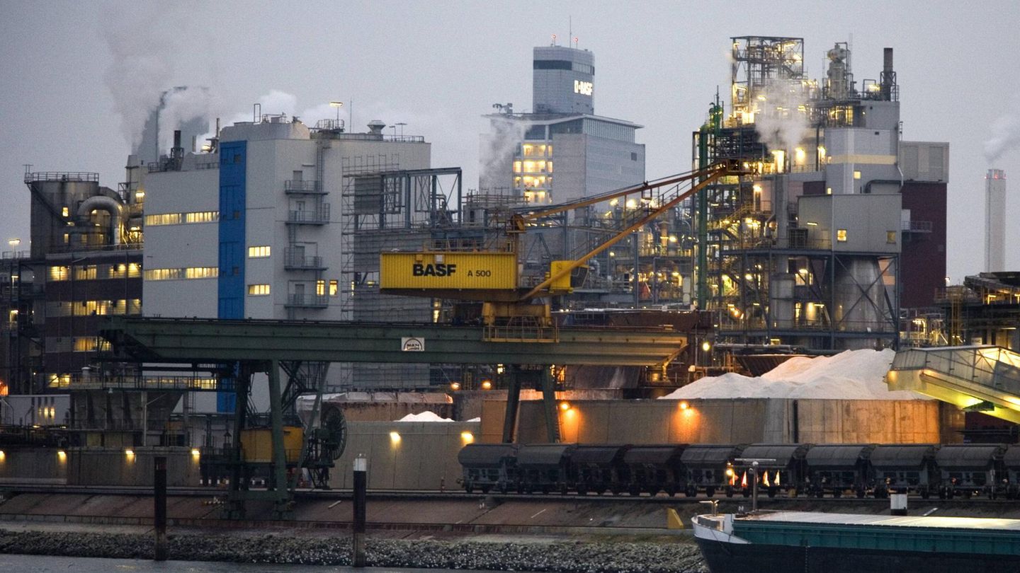 Die Ausflüchte des BASF-Chefs - Capital.de