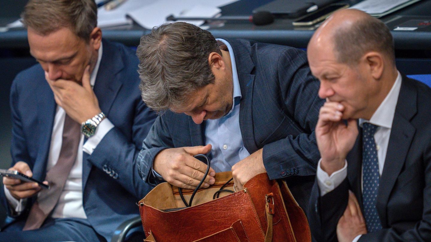 Politologin Daniela Schwarzer: „Wir sind verwundbarer als früher ...