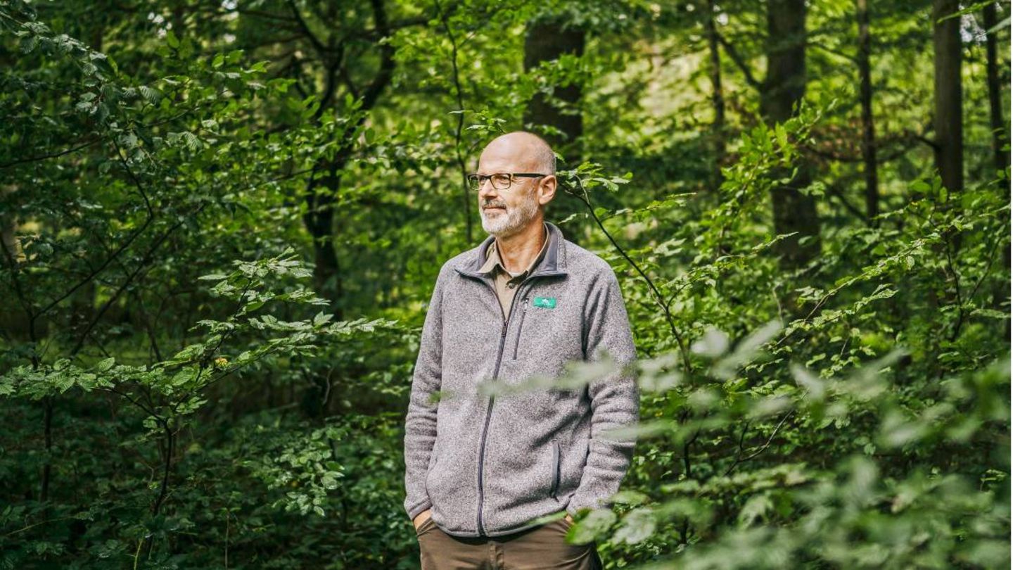 Peter Wohlleben über seinen Erfolg - Capital.de
